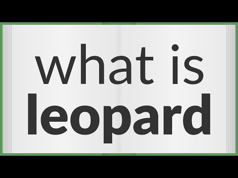 Leopard | meaning of Leopard