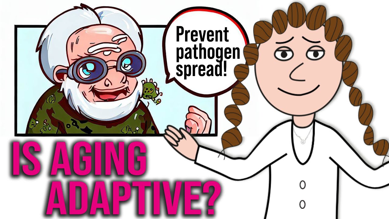 Is aging adaptive?