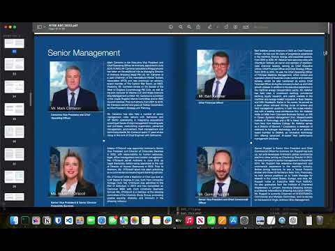 Using Google Gemini's Long Context Windows to analyze annual report PDFs