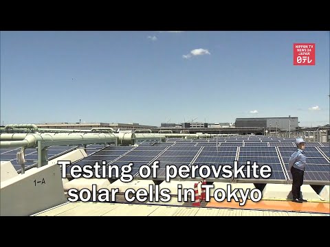 Testing of perovskite solar cells in Tokyo