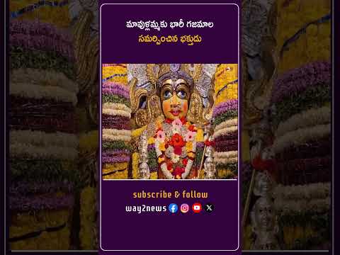 మావుళ్లమ్మకు భారీ గజమాల సమర్పించిన భక్తుడు | West Godavari | Andhra Pradesh | Way2news Telugu