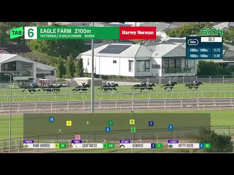 Tattersall's Gold Crown 2025 - MISS JOELENE (3YO+ SWP LR FM) Listed Eagle Farm 28 June