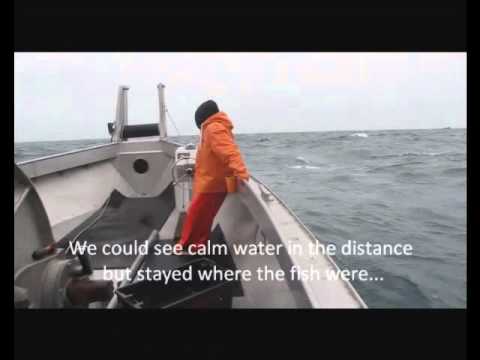 Salmon Drift Net Fishing in Cook Inlet Alaska on the F/V Night's Edge