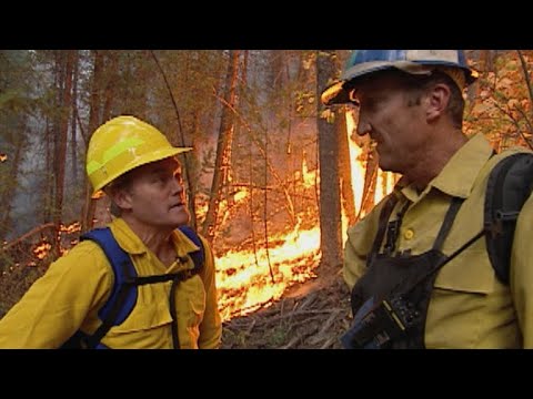 From the archives: The age of megafires