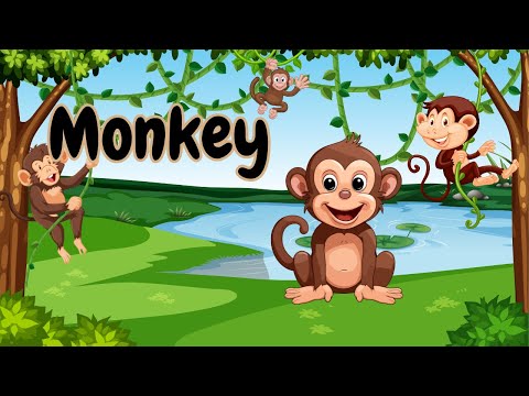 "Amazing Monkeys! | Kids Song & Fun Facts About Monkeys | Kiddy Cave