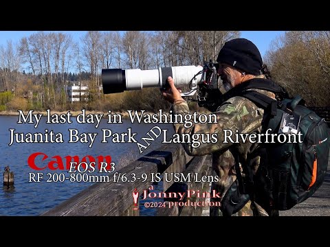 My last day in Washington - Langus Riverfront &Juanita Bay Park- Canon R3, RF 200-800mm IS USM Lens