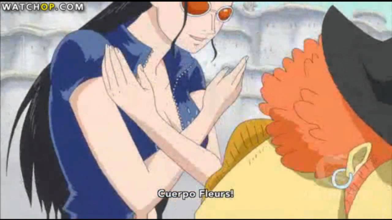 [HD]One piece - Robin:Double Clutch