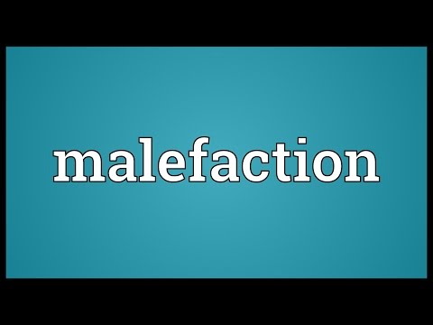 Malefaction Meaning