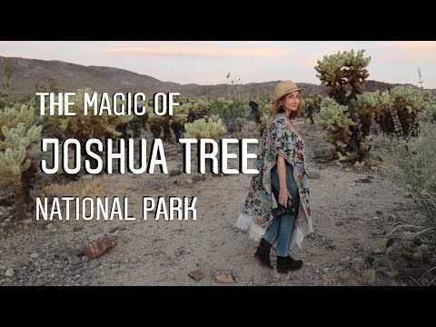 The Magic of Joshua Tree National Park