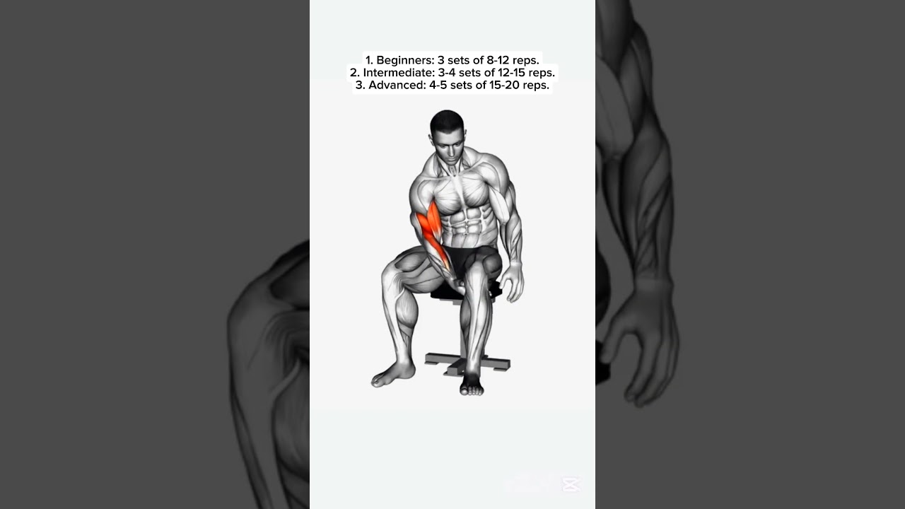 Top 4 Perfect Biceps Workout at Home ( No Equipment) #biceps #bicepsworkout #homeworkout