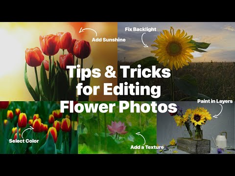8 Expert Flower Photography Tips & Techniques