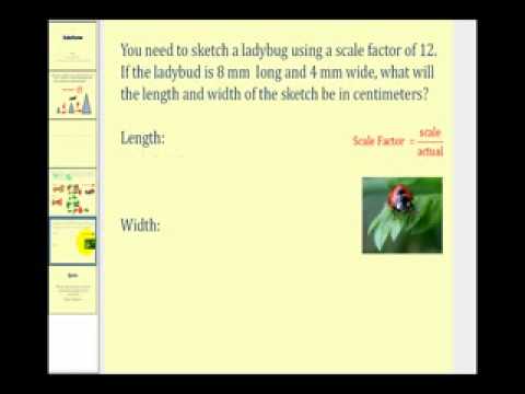 Scale Factor