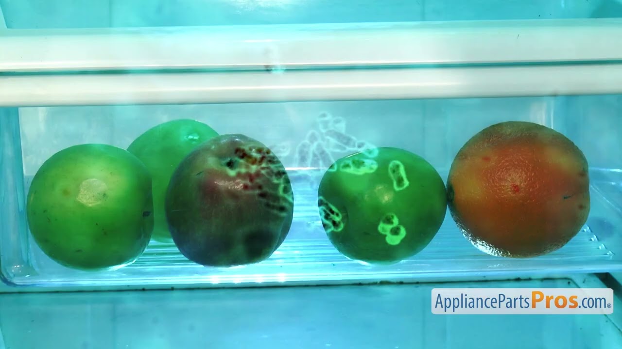 Expert Tips for Refrigerator Temperature Control