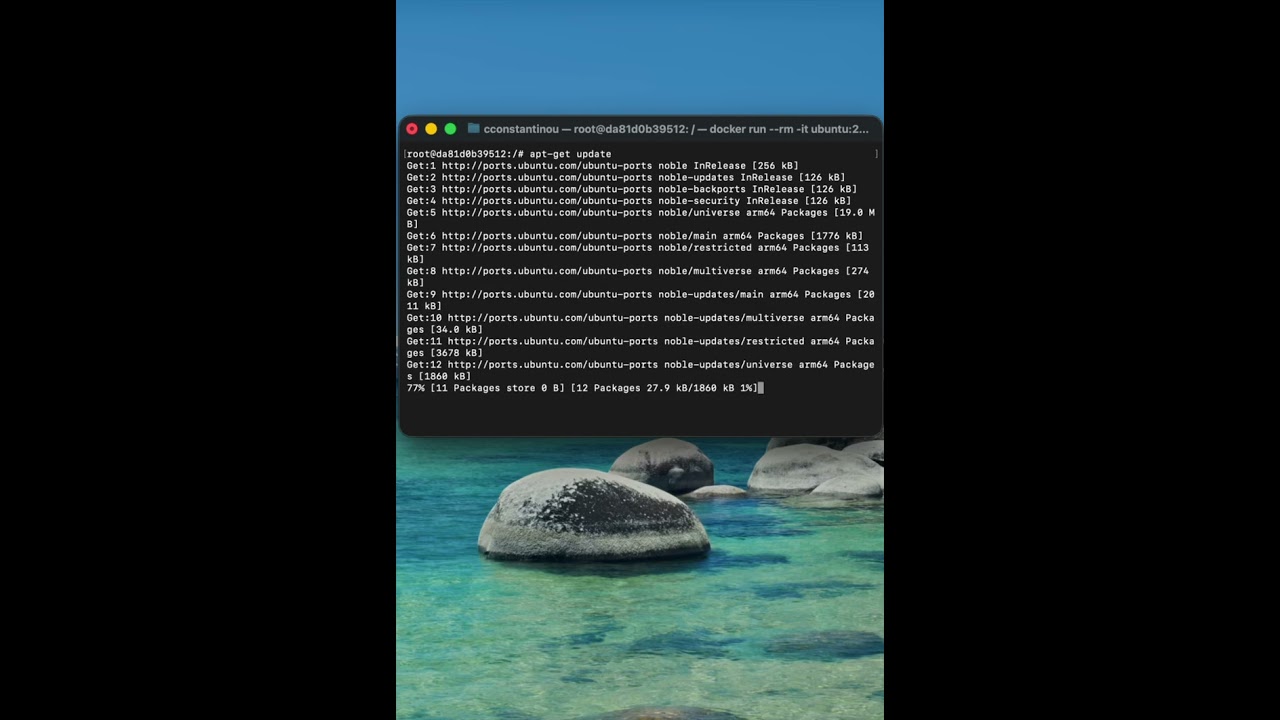 Running Linux commands in a Mac terminal through Docker 