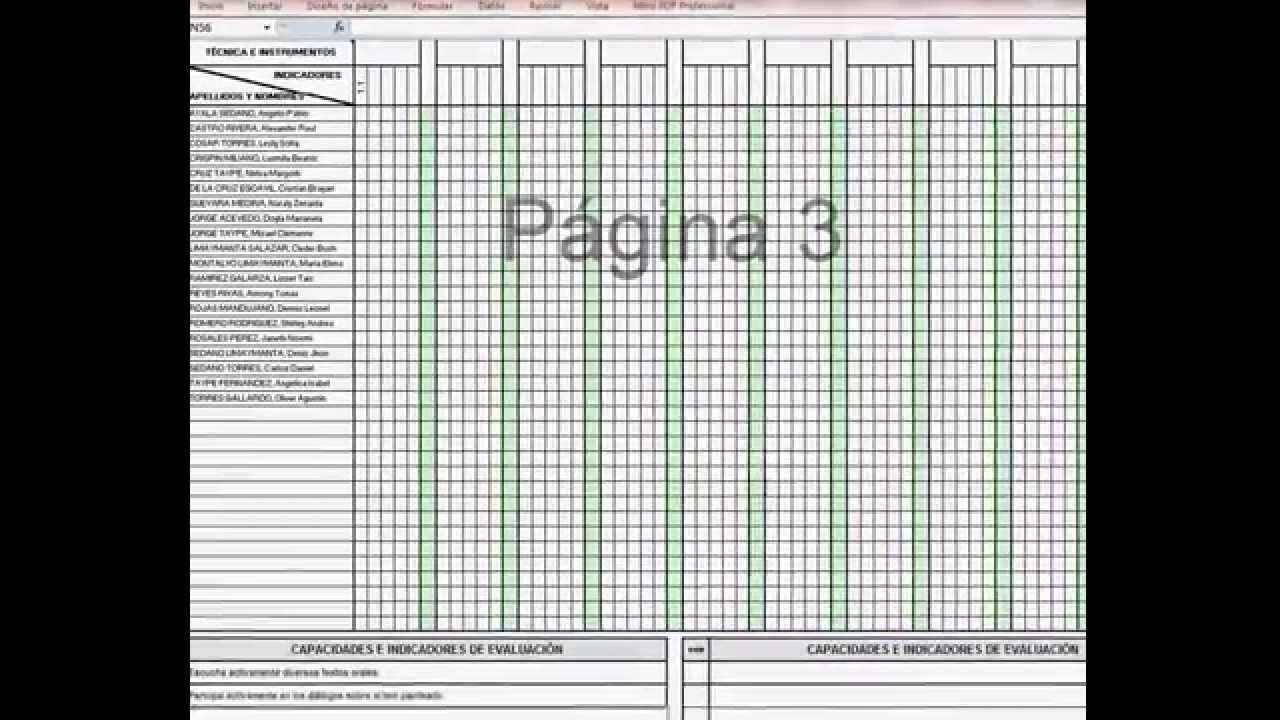 Registro para evaluar capacidades educativas según Rutas del Aprendizaje 2015