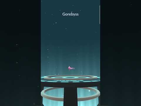 "🌊 Clamperl Evolution Mystery in Pokémon Go: Huntail or Gorebyss? 🐚 #shorts #gaming#pokemongo #viral