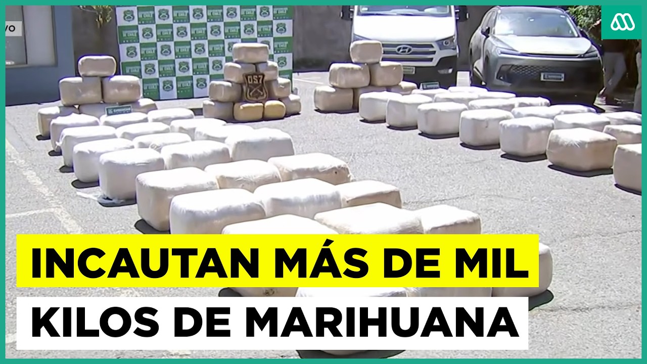 Masiva incautación de droga: Más de mil kilos de marihuana