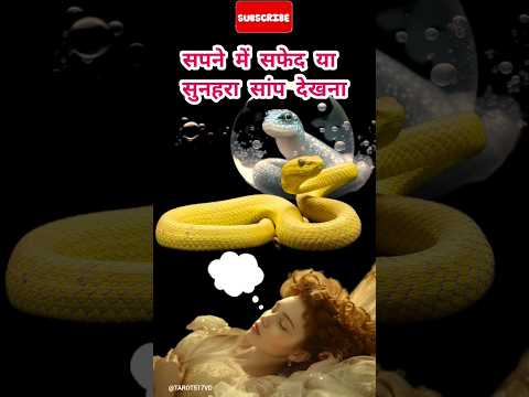 सपने में सफेद या सुनहरा सांप देखना || Snake in dream || TAROT517VD || #shorts #reels #TAROT517VD