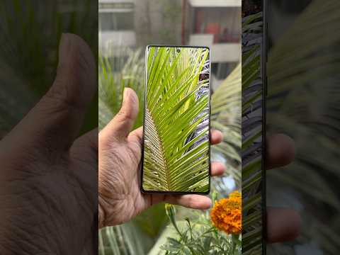 Tecno camon 30 s . Nature photography..