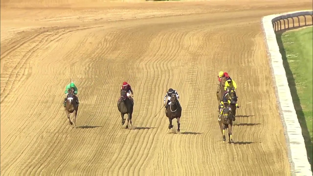 Race 9 Master 2026/05/16