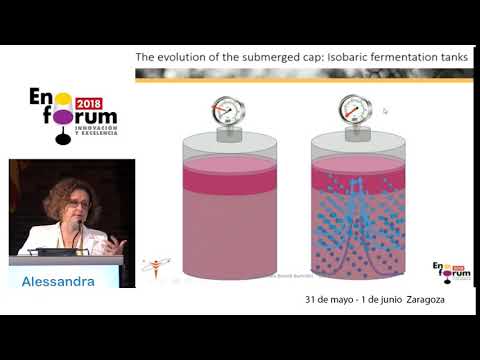 Over-pressure maceration of red grapes. Experimental effects of the ADSF system on Sangiovese