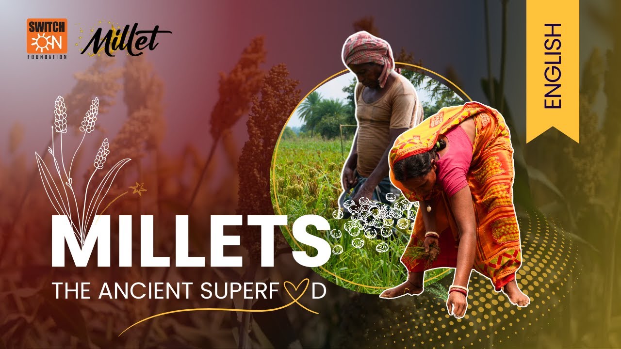 Unlock the Health Benefits of #Millets: A Nutritional Powerhouse | ENGLISH