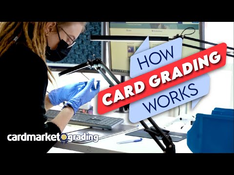 Card Grading Behind the Scenes