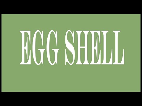 Egg shell Word Meaning With Example