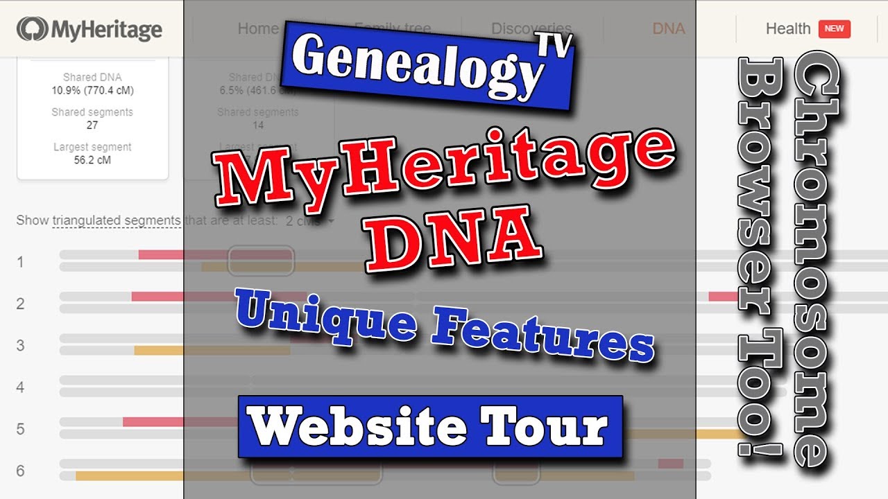 MyHeritage.com DNA Website Tutorial (2019)