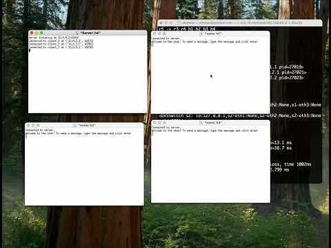 CST311 PA4 demo video - subnetting