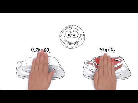 Ausbildung Berry | RPC Verpackungen Kutenholz GmbH - freie ...