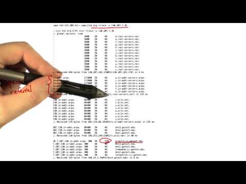 Learn Examples using dig Part 2 Georgia Tech Network Implementation - Mind Luster