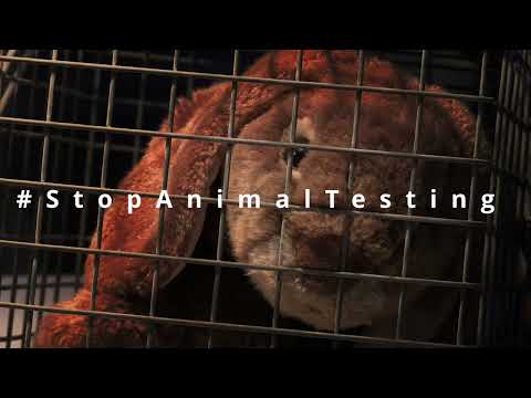 Stop Animal Testing PSA