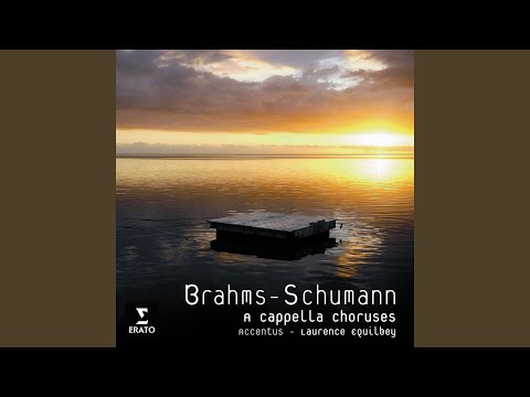 Romanzen und Balladen, Heft I, Op. 67: No. 3, Heidenröslein