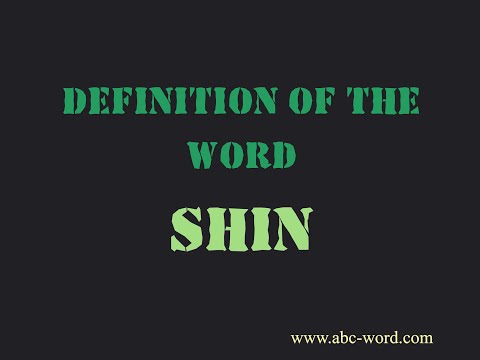Definition of the word "Shin"