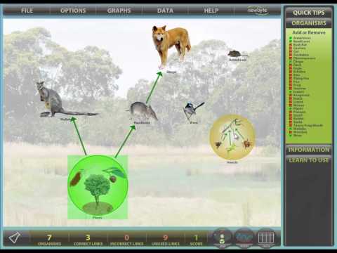 Food Webs - Australian Woodlands