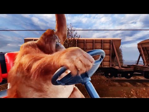 Steam Community :: Video :: МАВПОЧКА ЇДЕ ДО СИДОРОВИЧА / MONKEY DRIVING ...