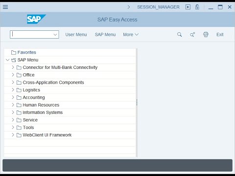 First Steps in SAP S/4HANA, SAP Menu, Transaction Codes