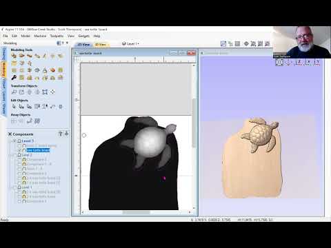 sea turtle tool paths