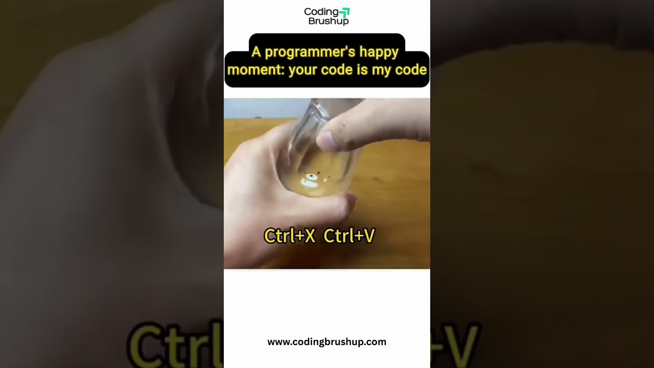 When Your Code is Empty But StackOverflow Has Your Back | Programming Meme