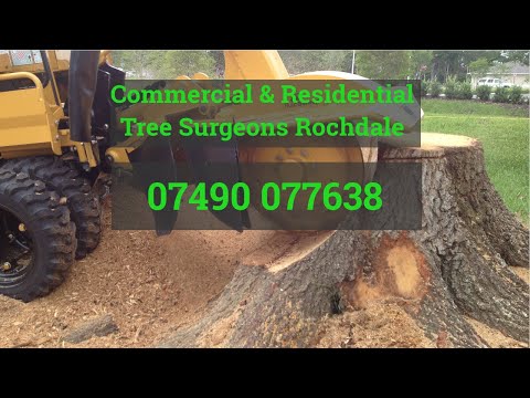 Tree Surgeon Rochdale Tree Felling Pruning Root And Stump Removal ...