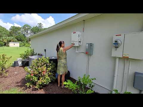 Palmetto Solar goes live