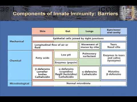 Overview of the Integrated Immune Response