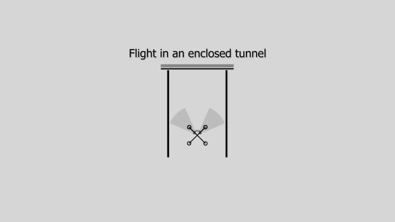 Optic flow based reactive collision prevention for MAVs using the fictitious obstacle hypothesis