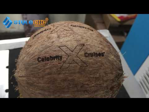 Fresh Coconut Laser Engraving and Marking Machine | STYLECNC