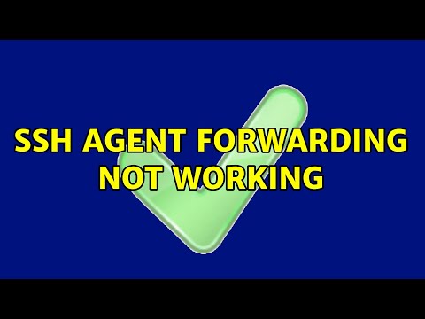 SSH Agent Forwarding Not Working