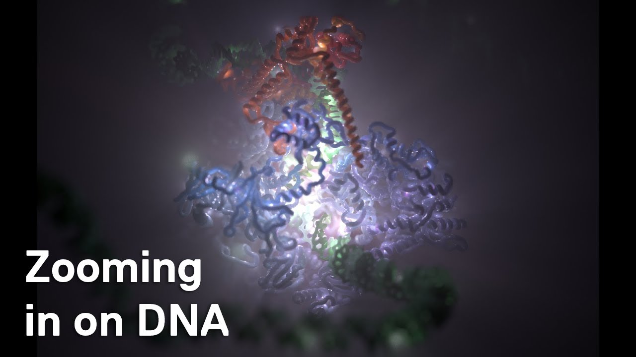 ICR Researchers use Cryo-Electron Microscopy to zoom in on DNA code being read in cells