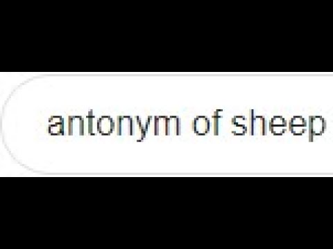 antonym of sheep