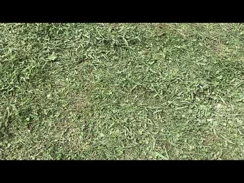 Williams Grove Historical Steam Engine Association Steam Traction Engine And Portable Area 2021