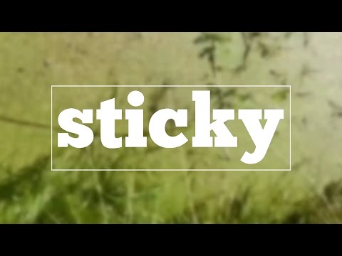 sticky spelling and pronunciation